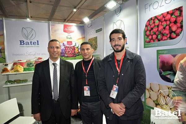 Home - Batel for manufacturing vegetables and fruits
